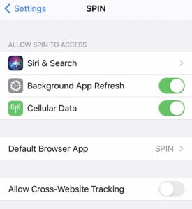 How to make SPIN Safe Browser your default iOS browser